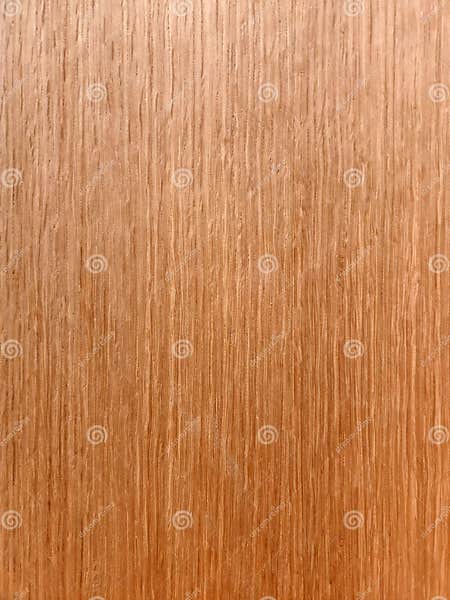 Beech Texture. Beech Wood Background Stock Photo - Image of material ...