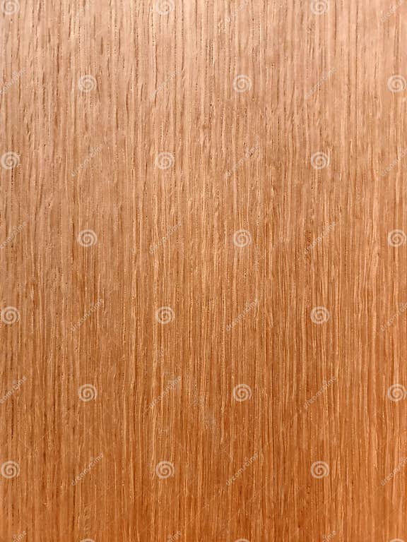 Beech Texture. Beech Wood Background Stock Photo - Image of material ...