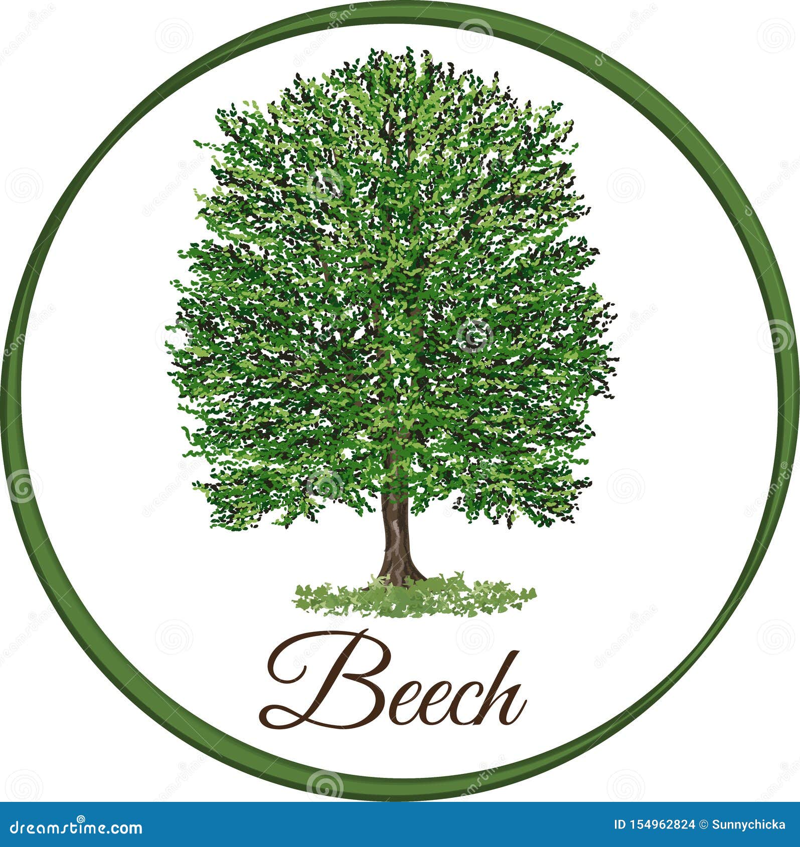 Beech Tree As Vector Drawn with Single Leaves Stock Vector ...