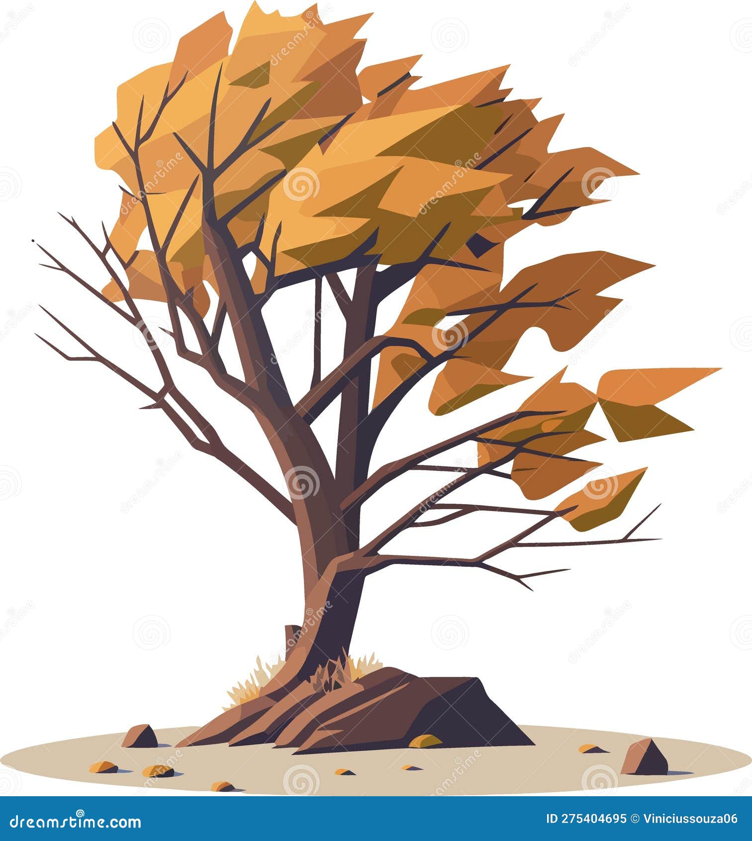 Beech Tree Dicotyledonous Plant Stock Vector - Illustration of isolated ...