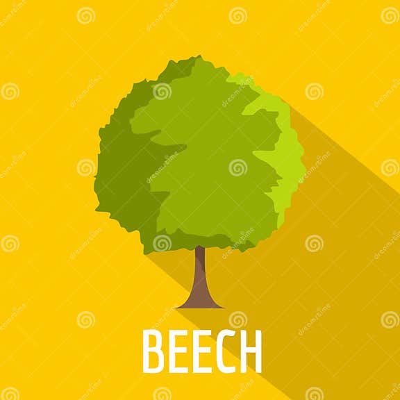 Beech Tree Icon, Flat Style Stock Vector - Illustration of bent, forest ...