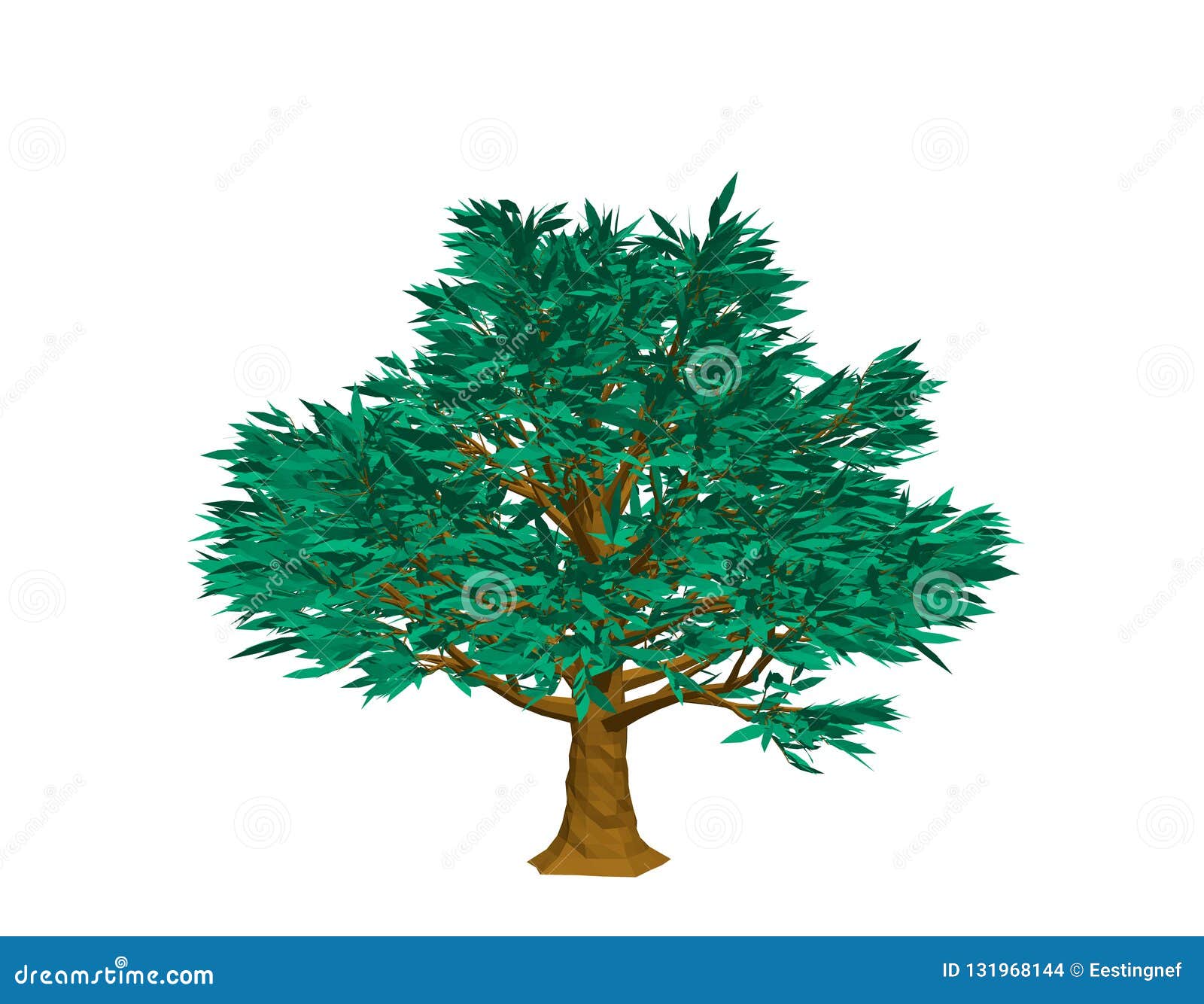 Beech Tree. Isolated on White Background Stock Vector - Illustration of ...