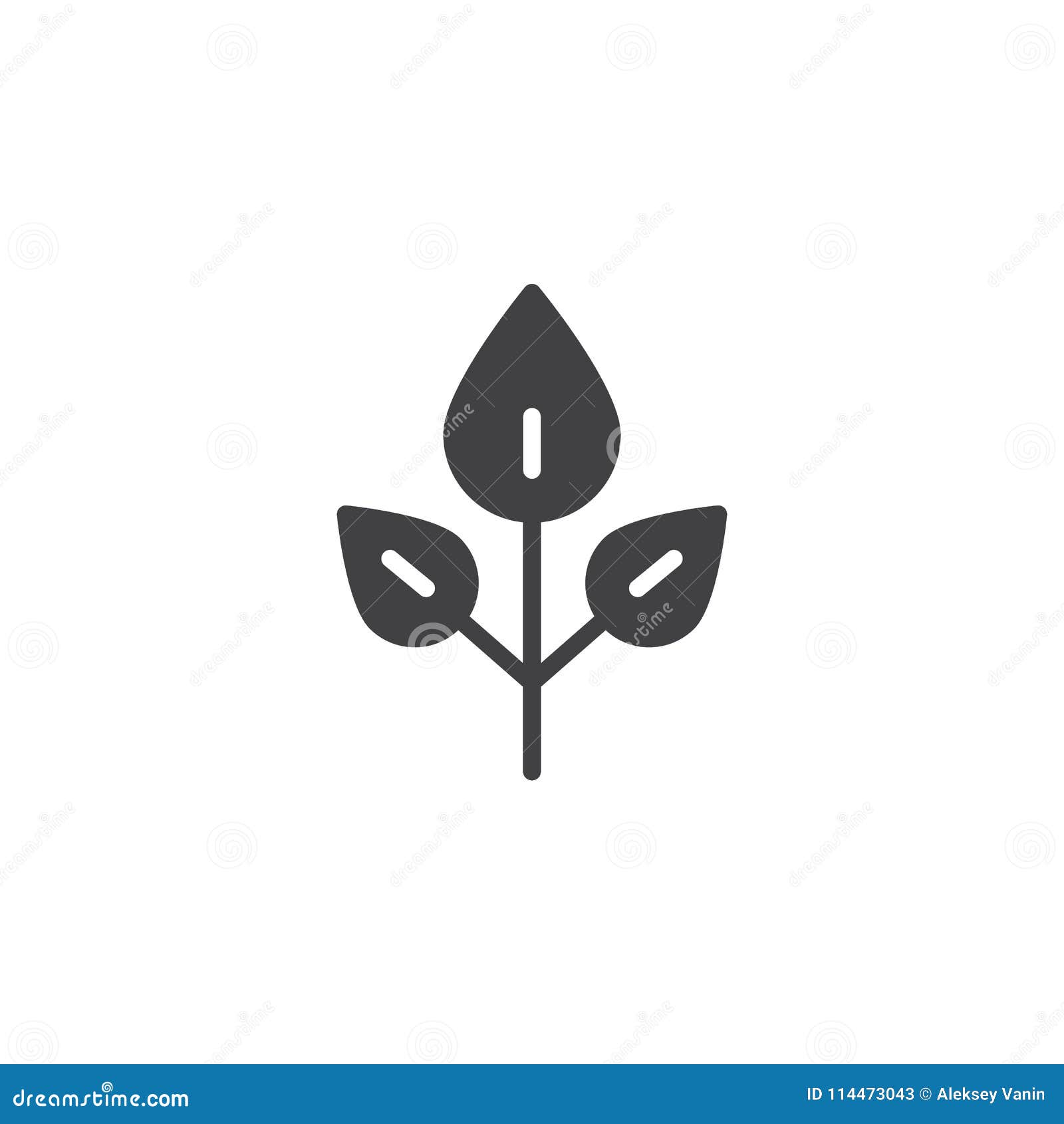 Beech Tree Leaves Vector Icon Stock Vector - Illustration of solid ...