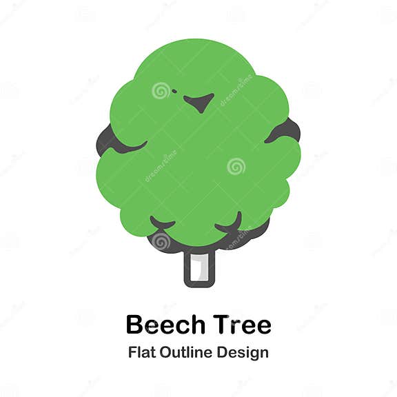 Beech Tree Outline Flat Illustration Stock Vector - Illustration of ...