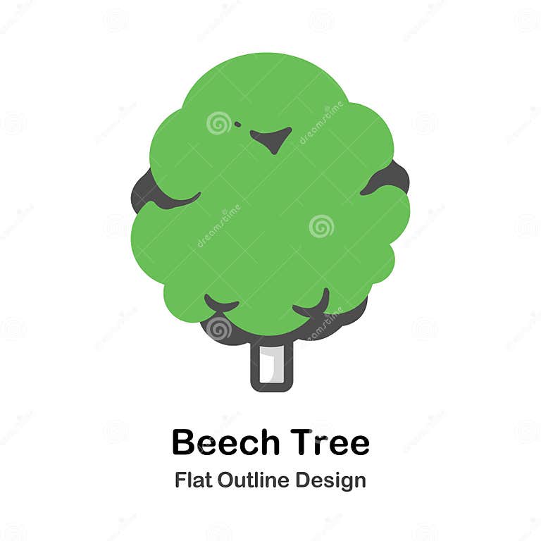 Beech Tree Outline Flat Illustration Stock Vector - Illustration of ...