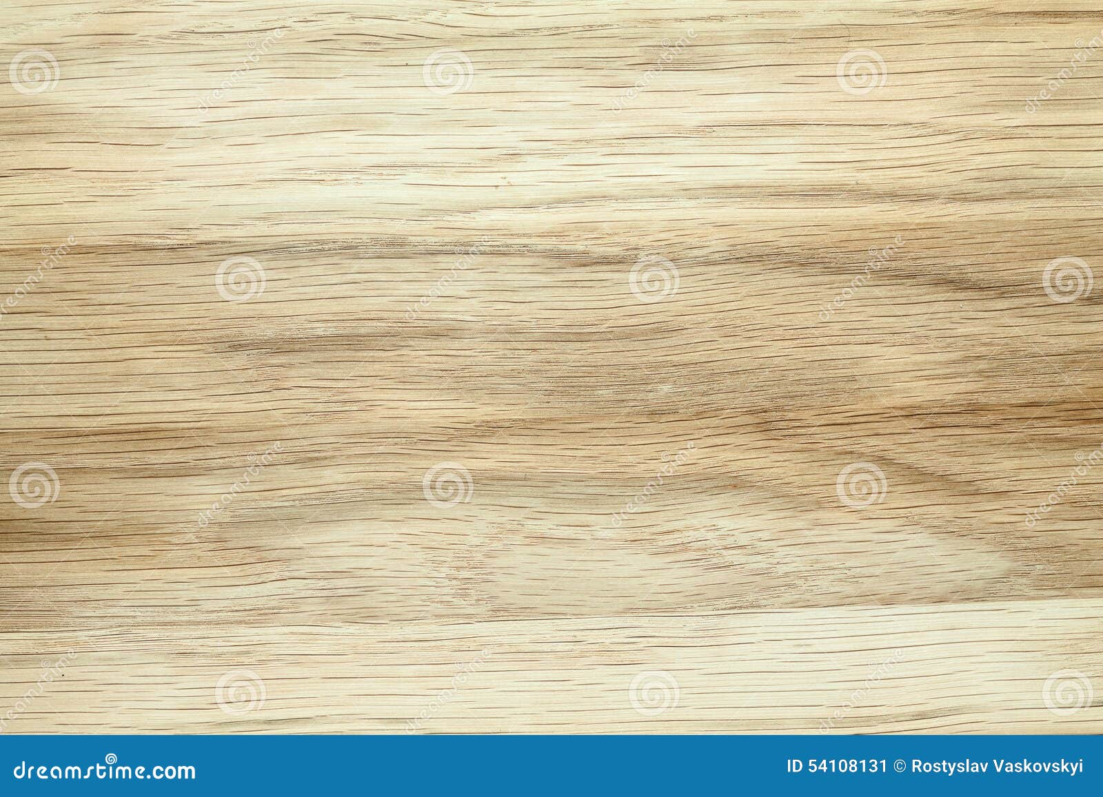 Beech tree texture stock image. Image of interior, wood - 54108131