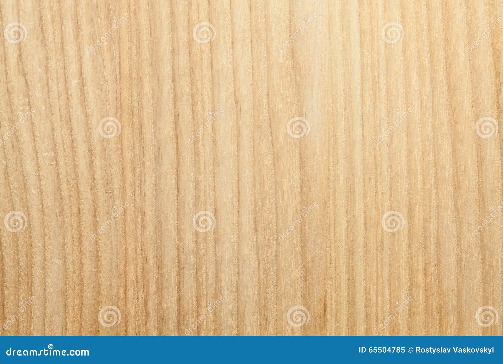 Beech Tree Texture Wallpaper. Stock Image - Image of rings, background ...