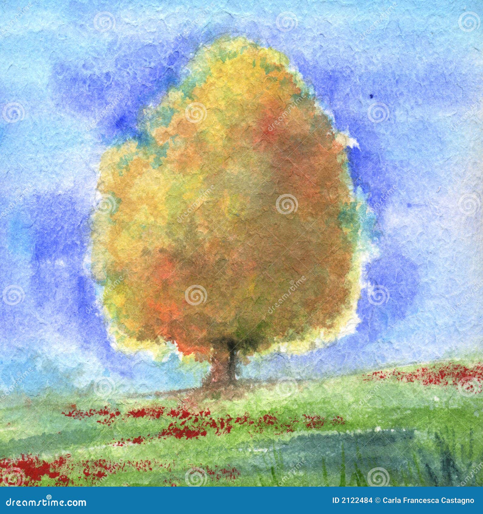 Beech tree - Watercolor stock illustration. Illustration of plant - 2122484