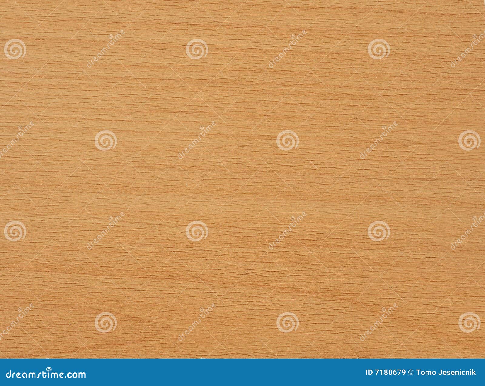 Beech tree wood stock image. Image of lumber, floor, grain - 7180679