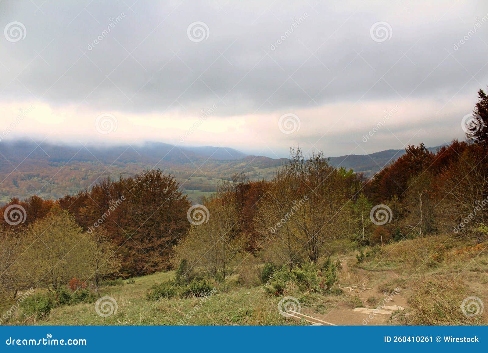 Beech Trees in Front of Mountains Covered in Forests with a Cloudy Sky ...