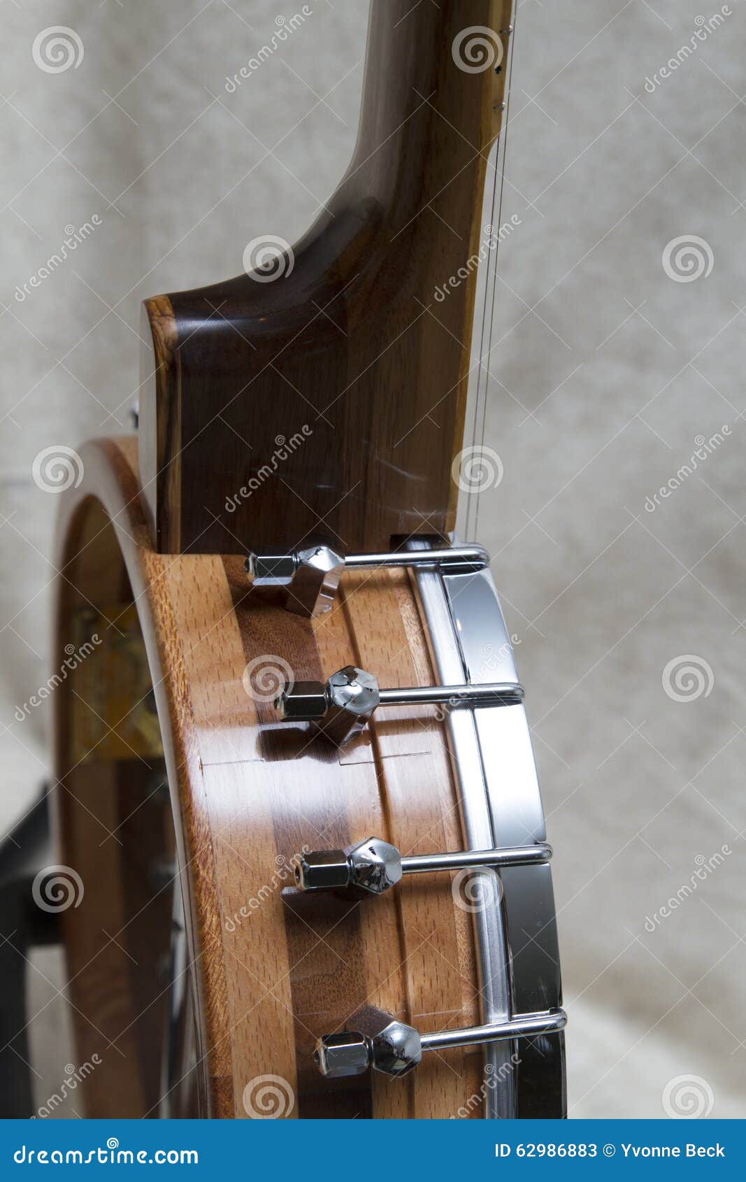 Beech Walnut Block Rim Construction on an Open Back Banjo Stock Image ...