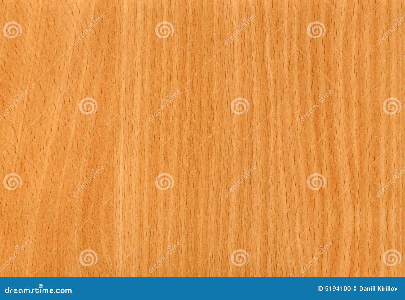 Beech Wood Background stock photo. Image of plank, fine - 5194100