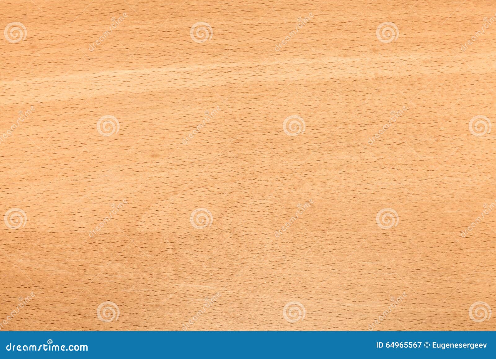 Beech Wood Pattern. Background Photo Texture Stock Image - Image of ...