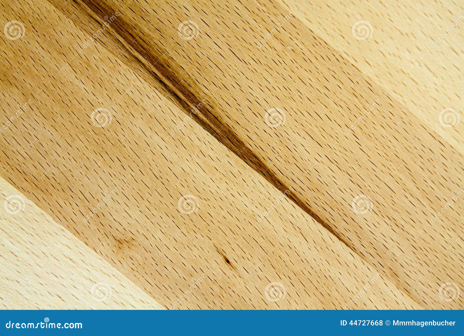 Beech wood pattern stock photo. Image of macro, closeup - 44727668
