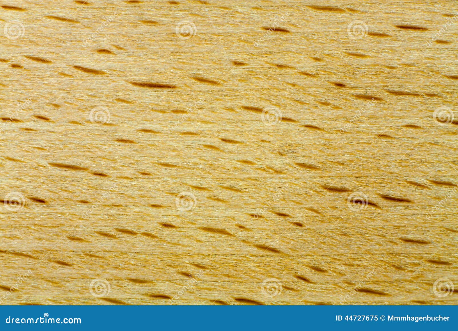 Beech wood pattern stock image. Image of decorative, construction ...
