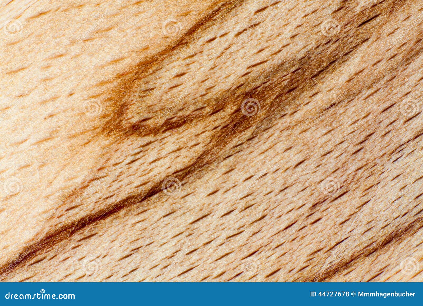 Beech wood pattern stock photo. Image of beech, table - 44727678