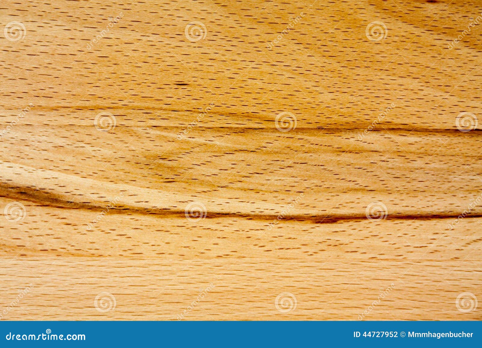 Beech wood pattern stock photo. Image of beech, building - 44727952