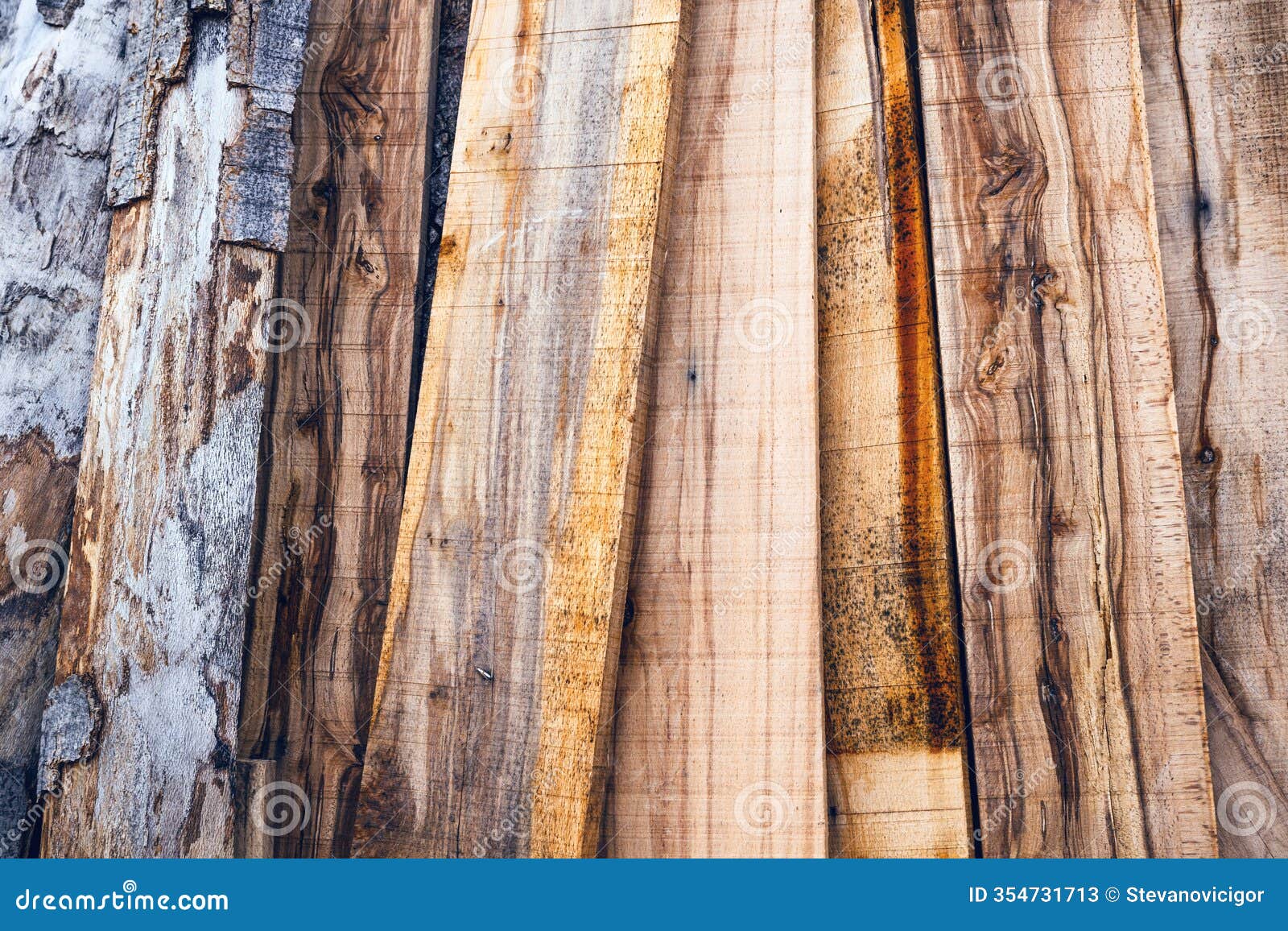 Old Beech Wood Texture Royalty-Free Stock Photo | CartoonDealer.com ...