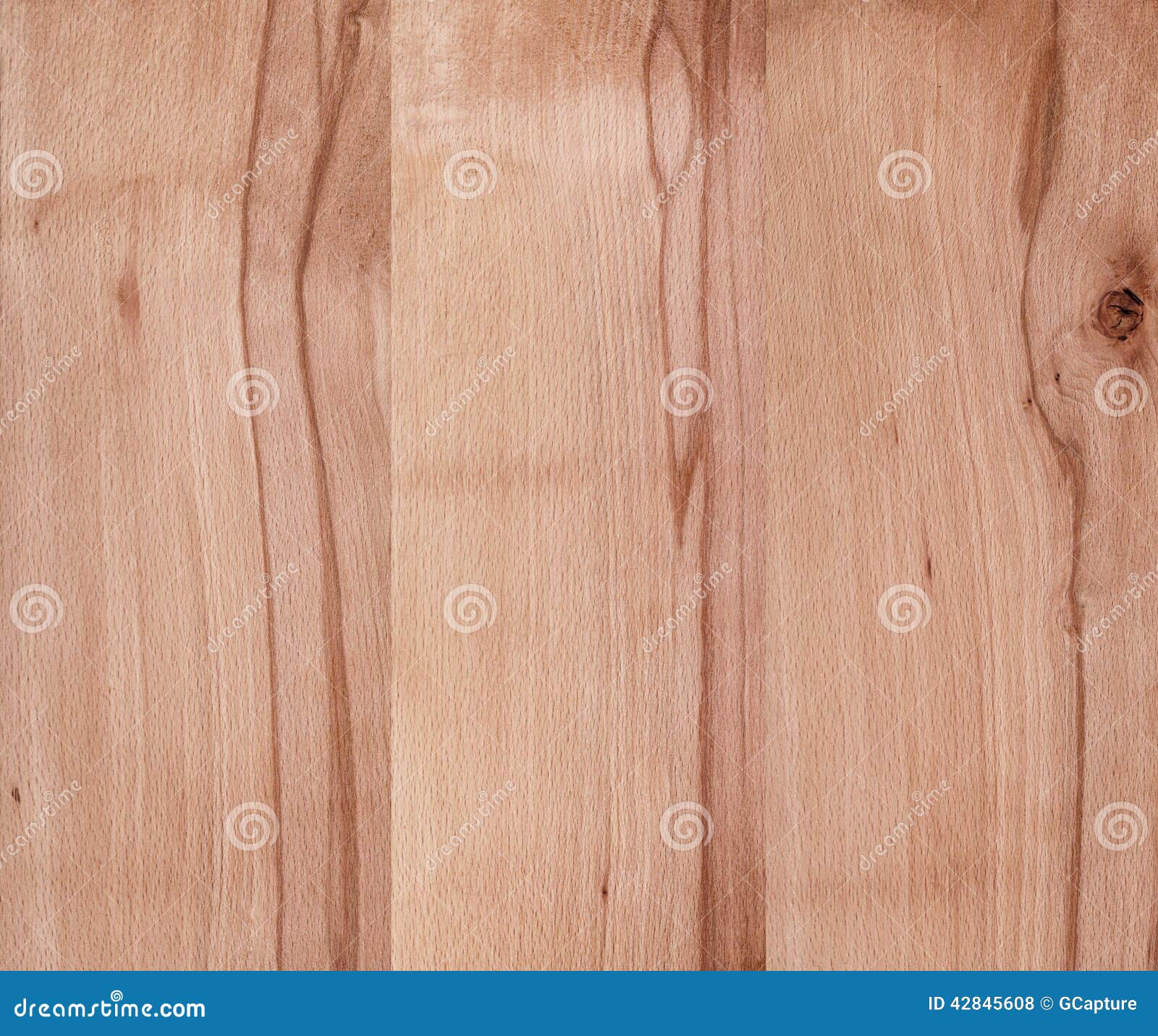 Beech Wood Surface Hight Detailed Stock Photo - Image of background ...