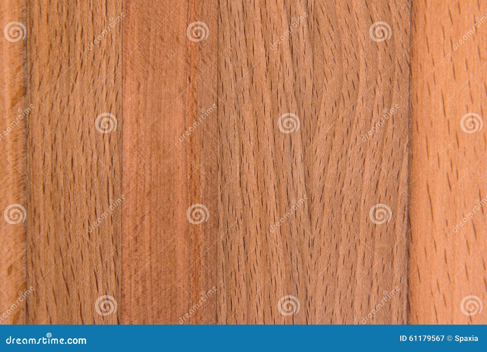 Beech wood texture stock image. Image of tree, material - 61179567