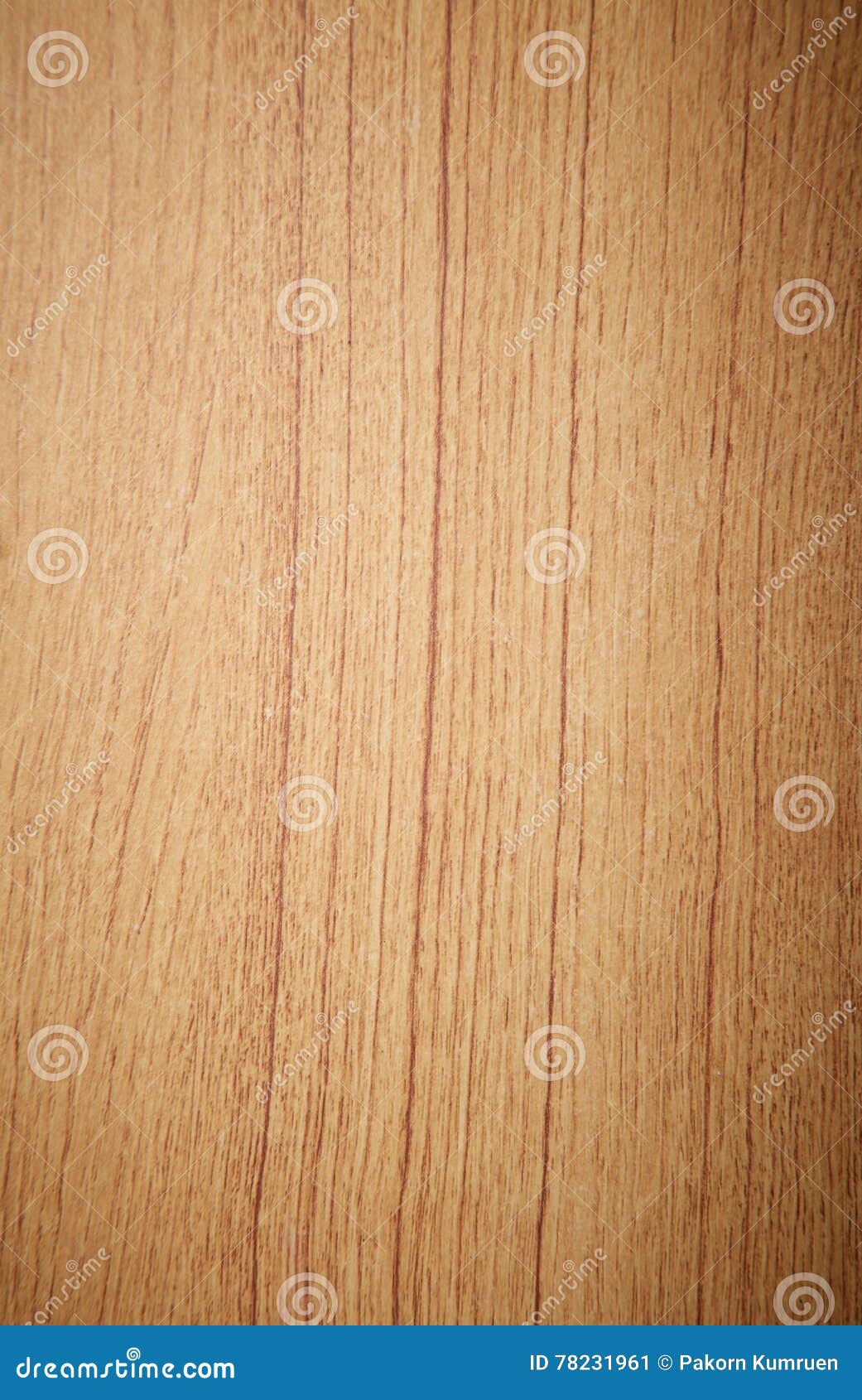 Beech wood texture stock image. Image of organic, backdrop - 78231961
