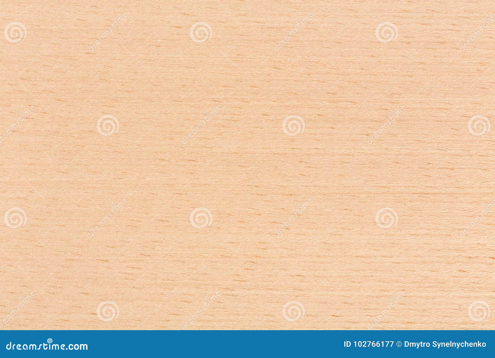 Beech Wood Texture on Macro. Stock Image - Image of formica, brown ...