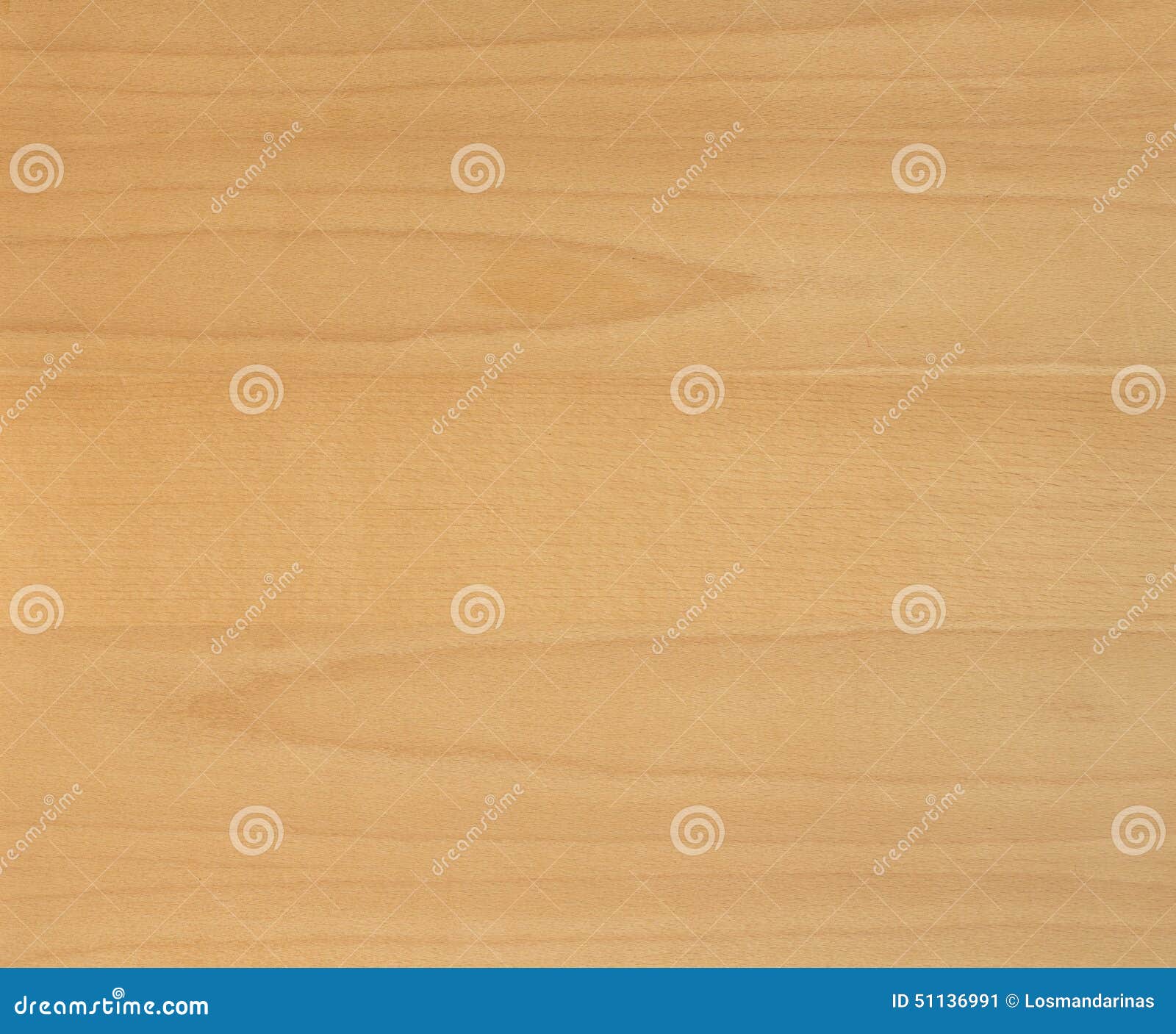 Beech wood texture stock image. Image of yellow, color - 51136991