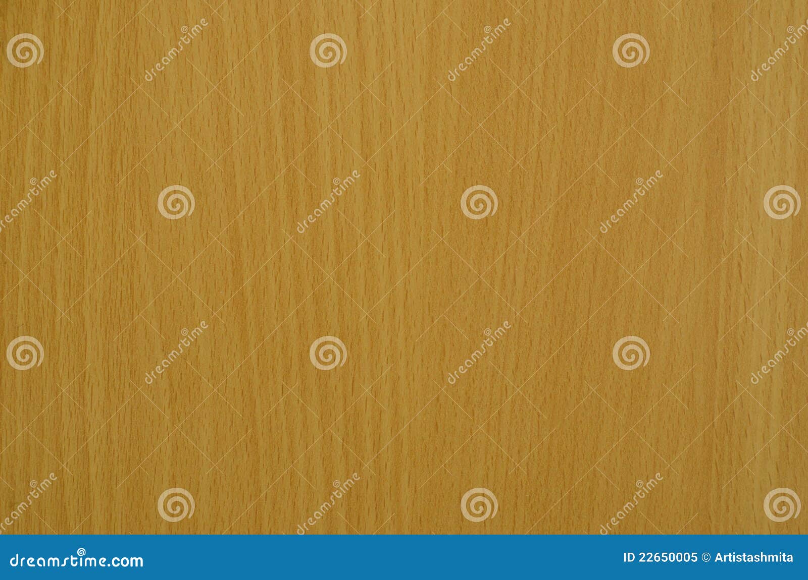Beechwood texture stock image. Image of wooden, beechwood - 22650005