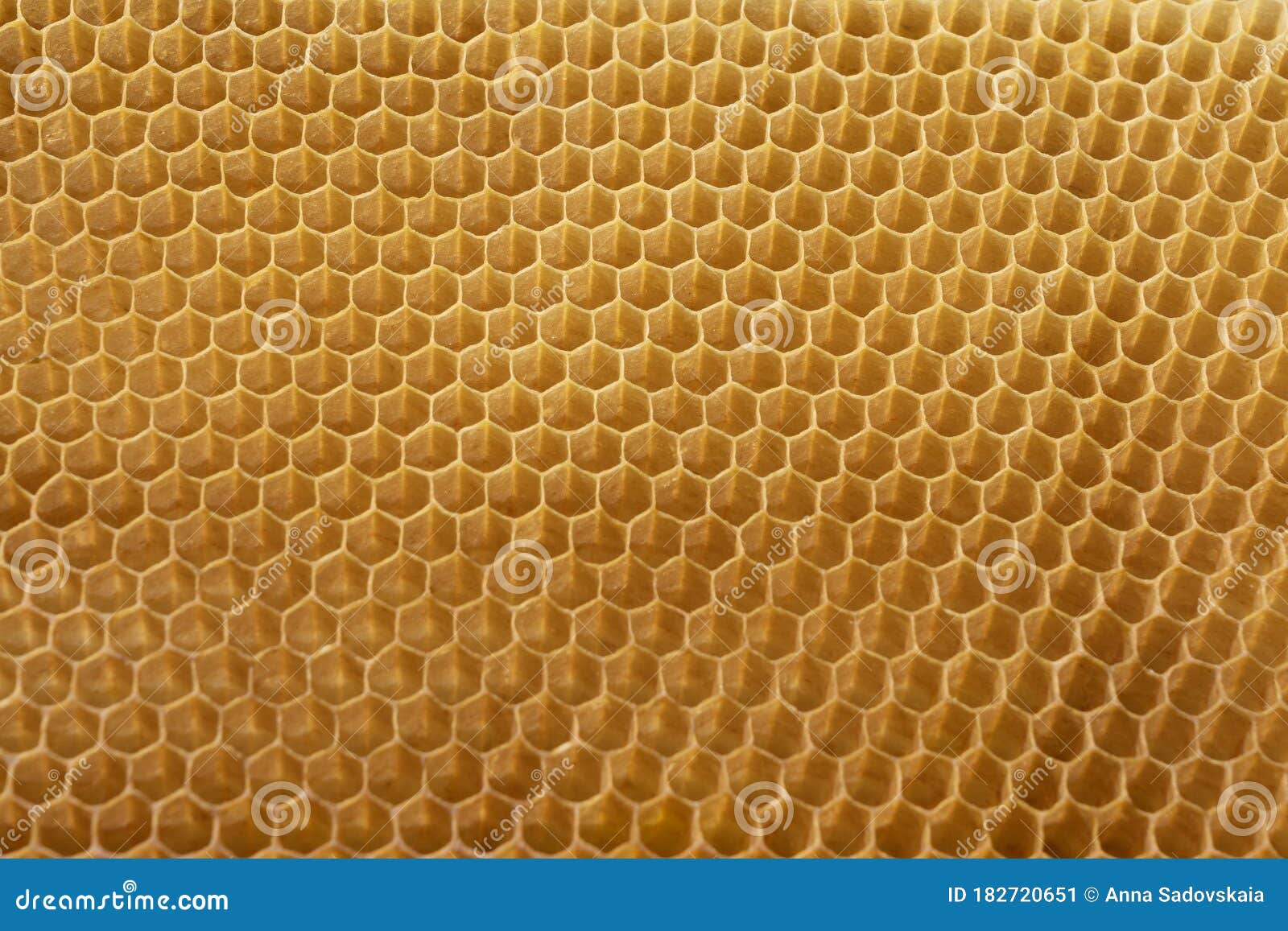 Row Of Empty Cells In Old Prison In High Contrast Stock Photography ...