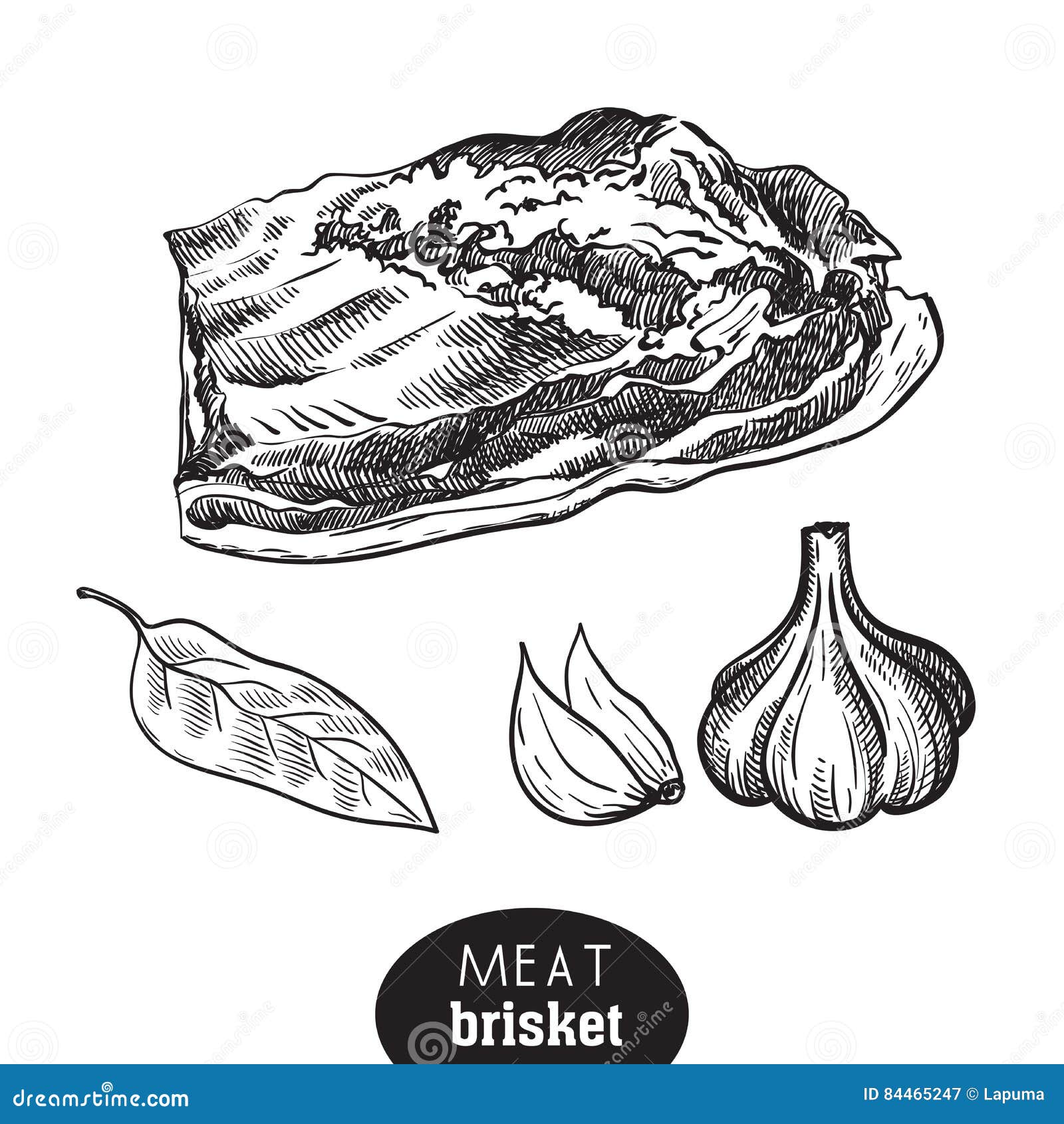 Beef brisket and spices stock vector. Illustration of natural - 84465247