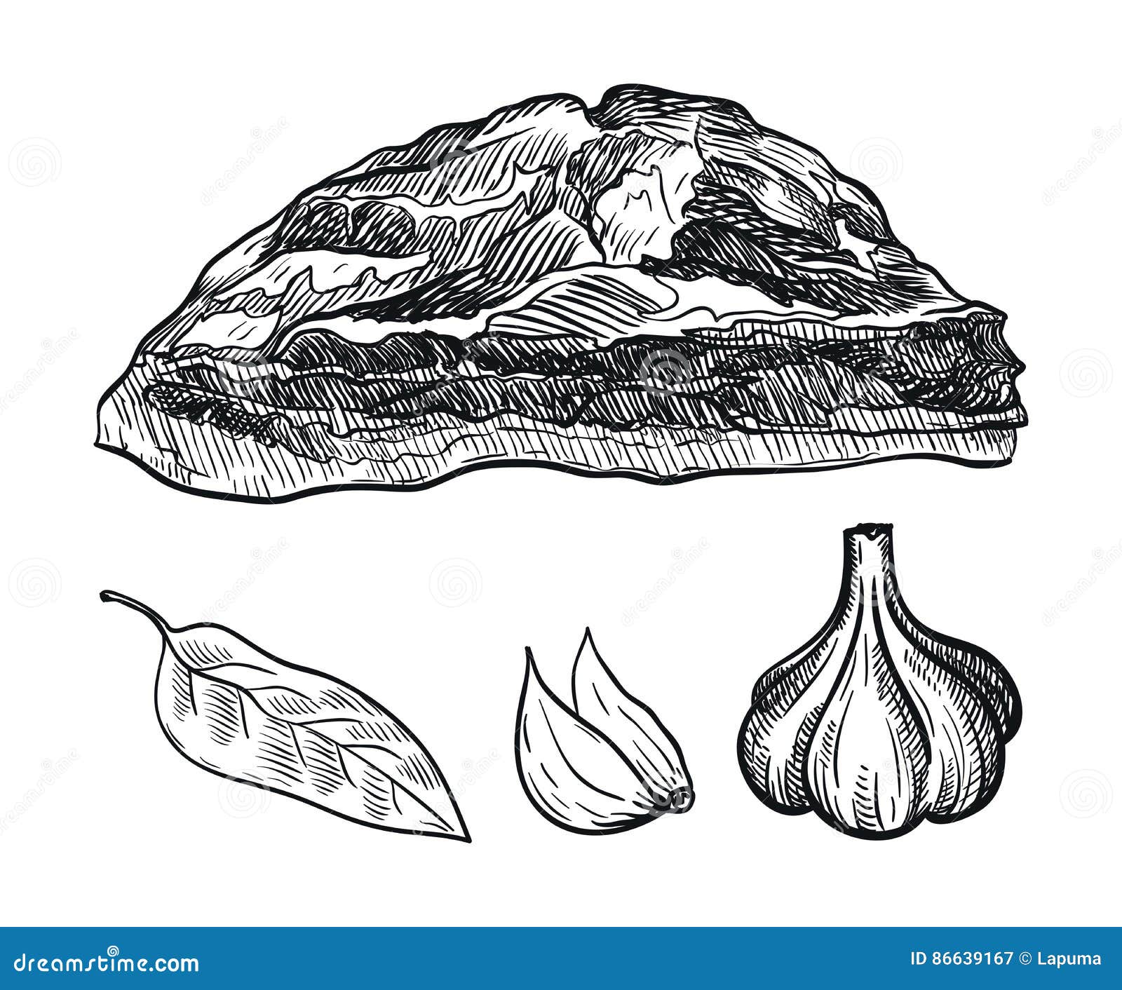 Beef brisket and spices stock vector. Illustration of piece - 86639167