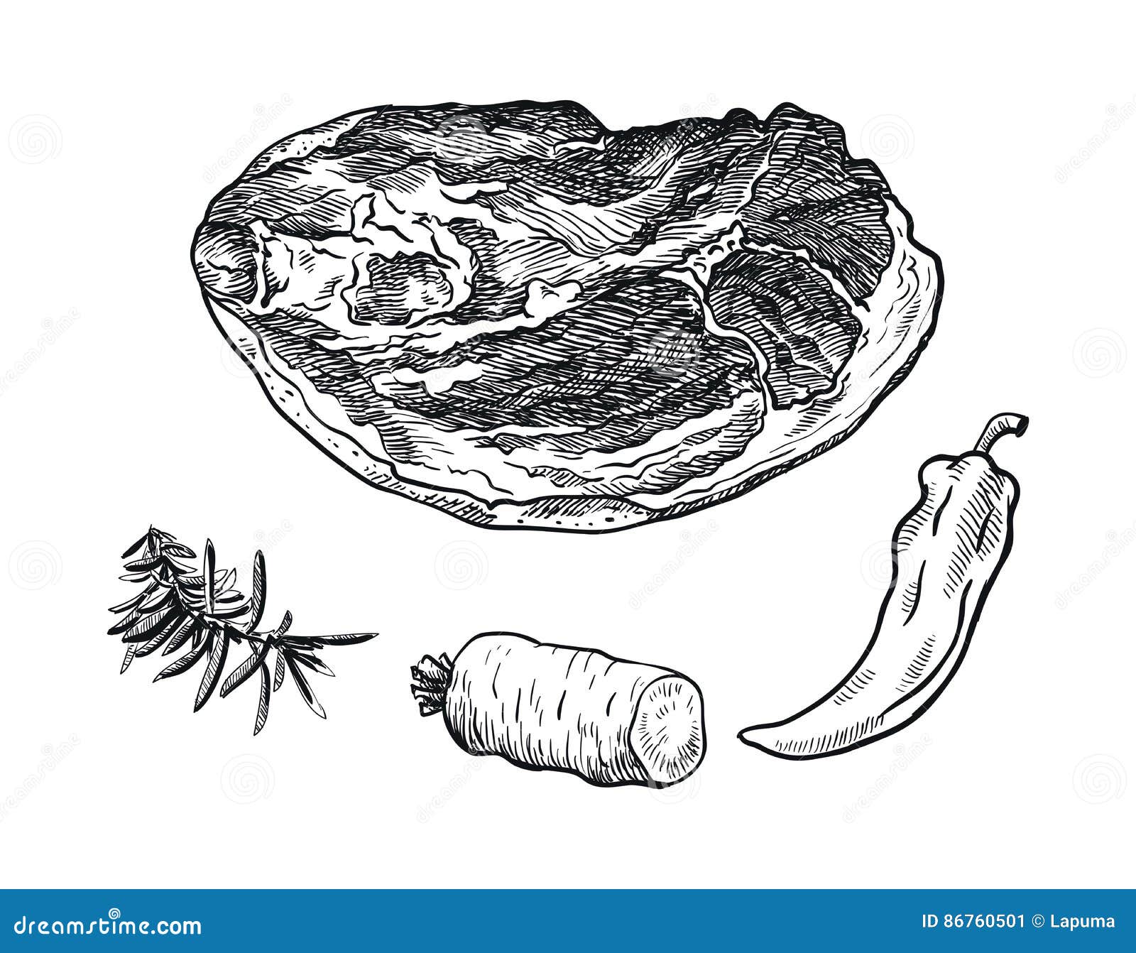 Beef brisket and spices stock vector. Illustration of brisket - 86760501