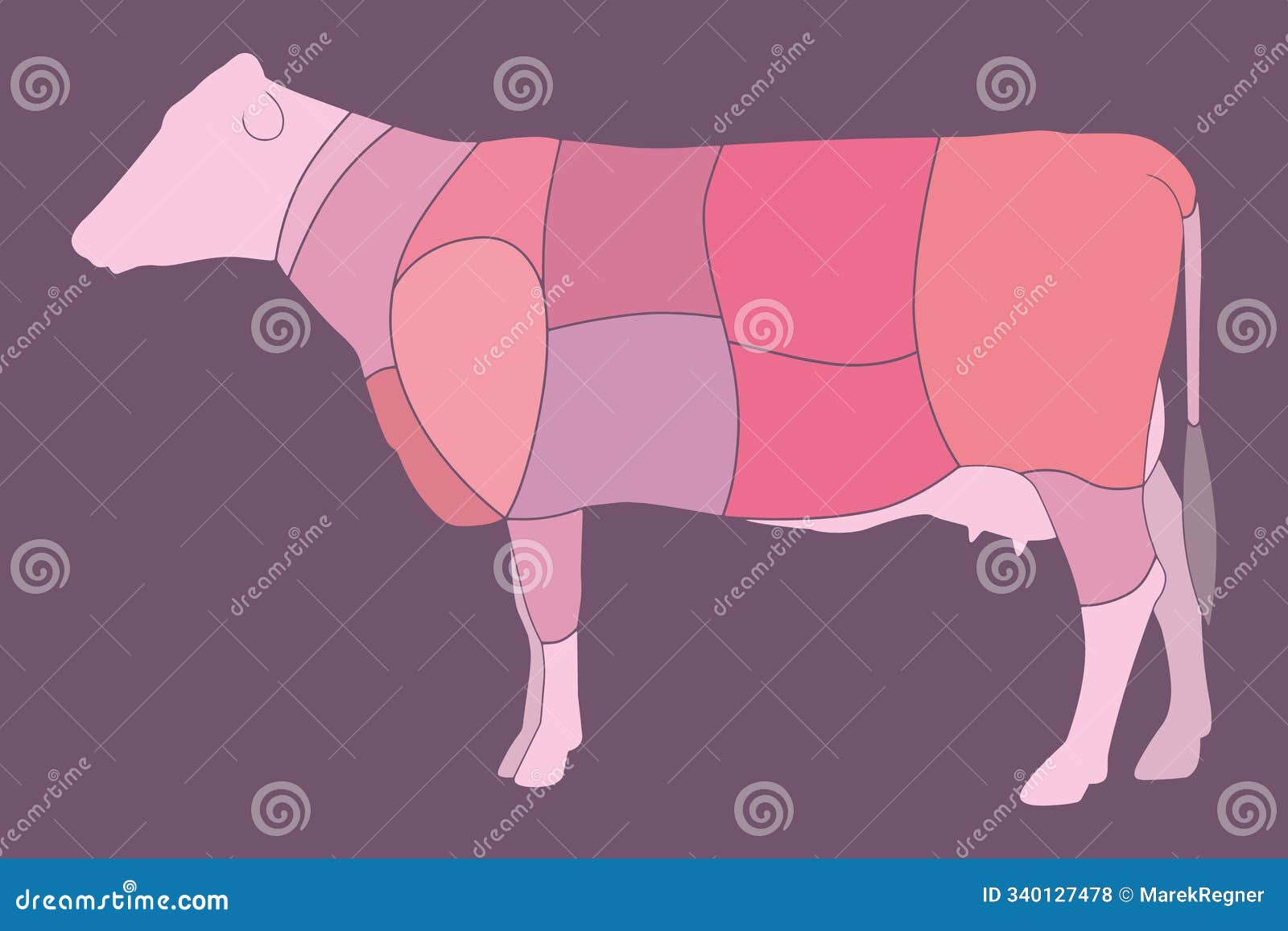Beef Carcass - Beef Cuts Diagram Stock Vector - Illustration of black ...