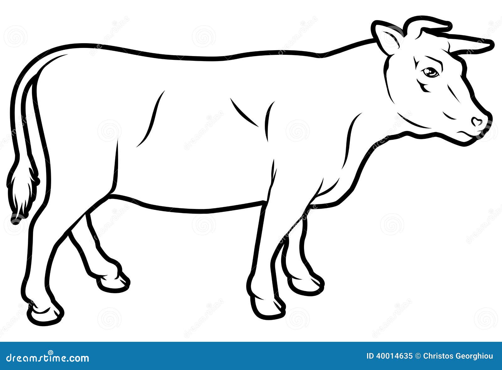 Beef cow illustration stock vector. Illustration of animal - 40014635