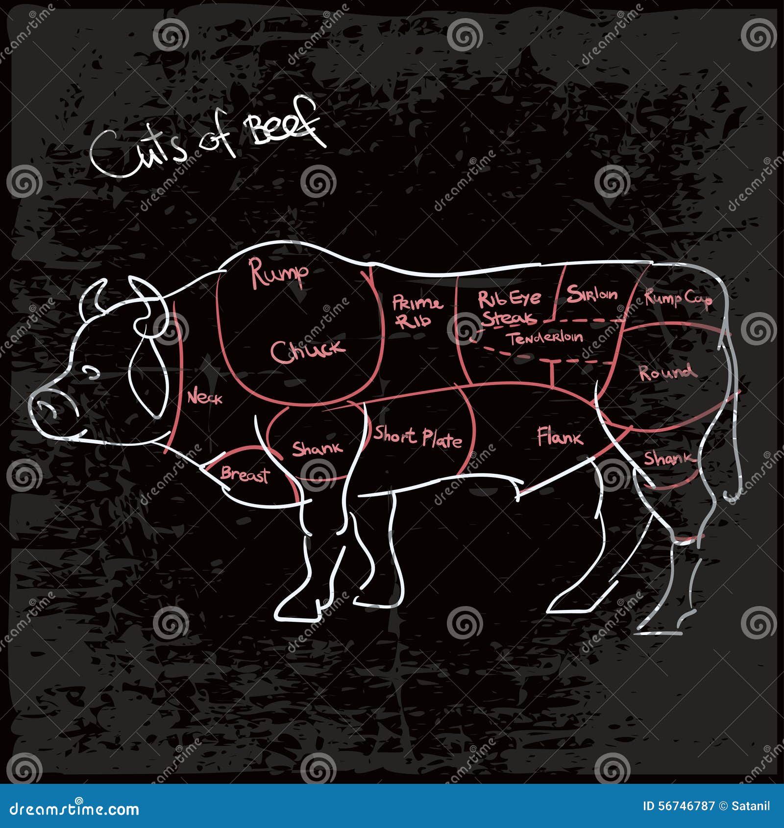 Beef Cut Or Cuts Of Beef Cartoon Vector | CartoonDealer.com #56746787
