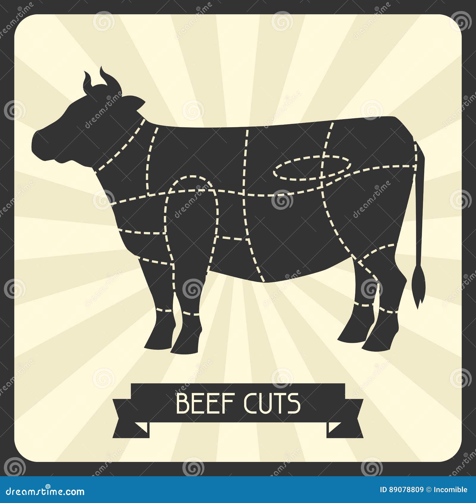 Beef Cuts. Butchers Cheme Cutting Meat Illustration Stock Vector ...
