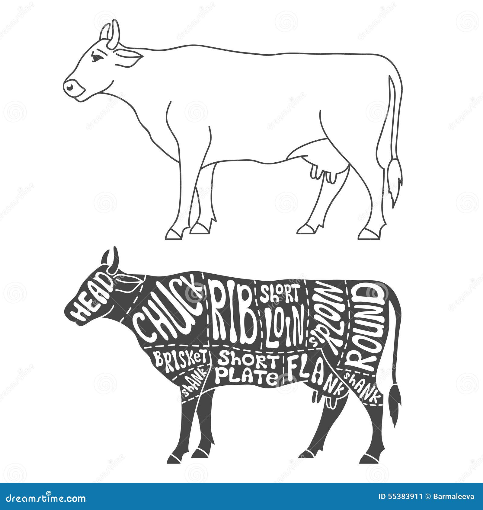 Beef cuts diagram stock vector. Illustration of preparation - 55383911 Beef cuts diagram stock vector. Illustration of preparation - 55383911