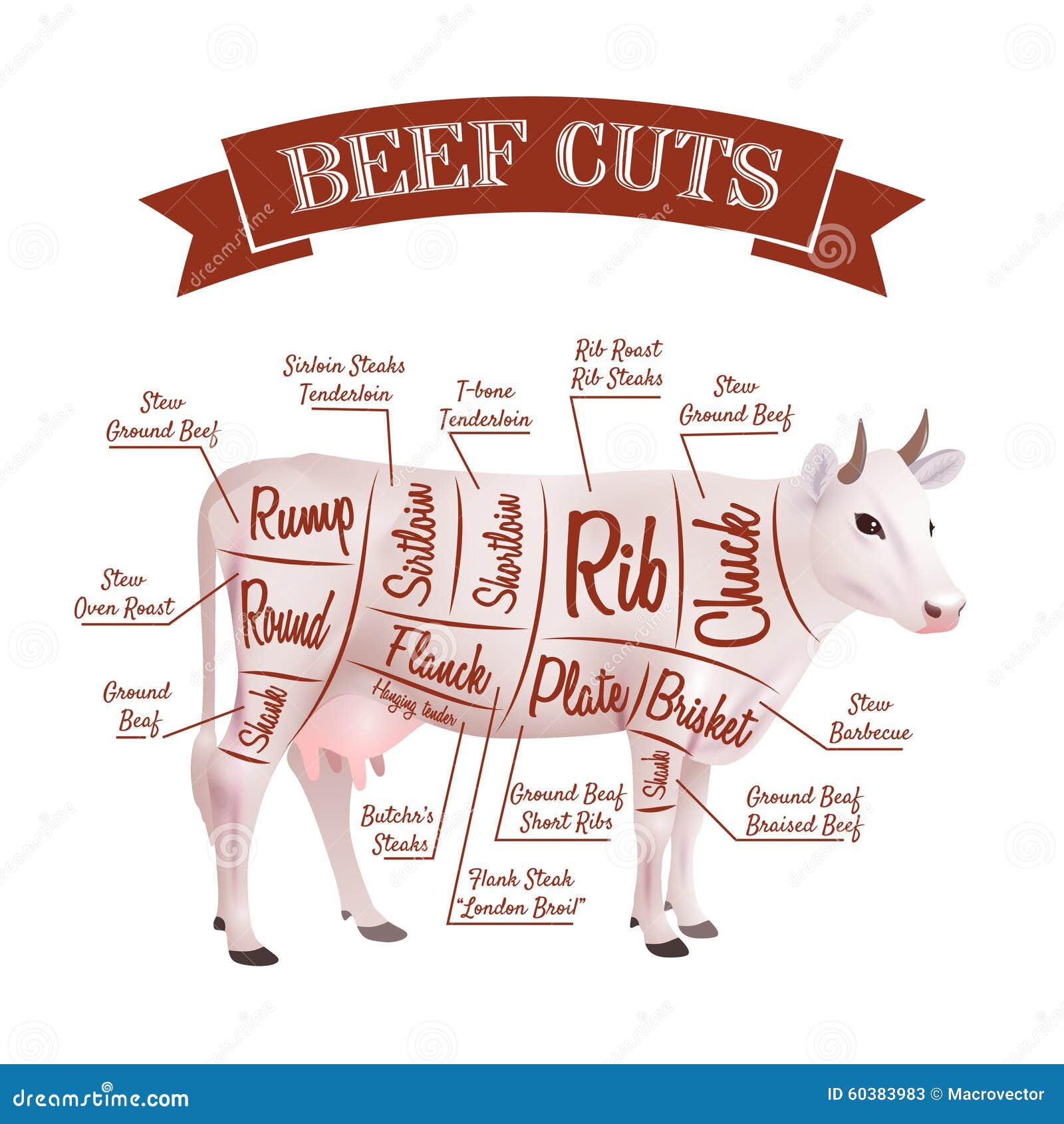 Beef Cuts Illustration stock vector. Illustration of domestic - 60383983 Beef Cuts Illustration stock vector. Illustration of domestic - 60383983