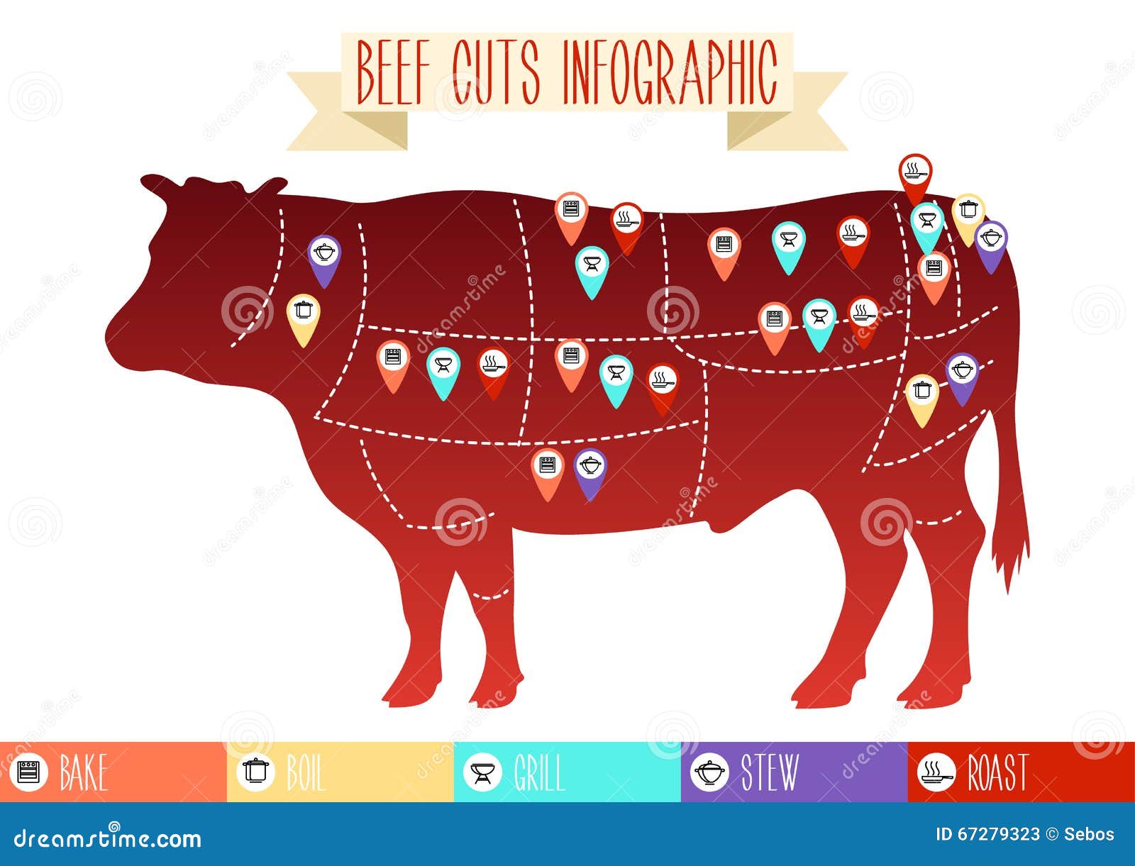 Beef Cuts Infographic. Cartoon Vector | CartoonDealer.com #67279323