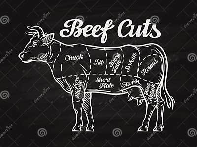 Beef Cuts. Template Menu Design for Restaurant, Cafe Stock Vector ...