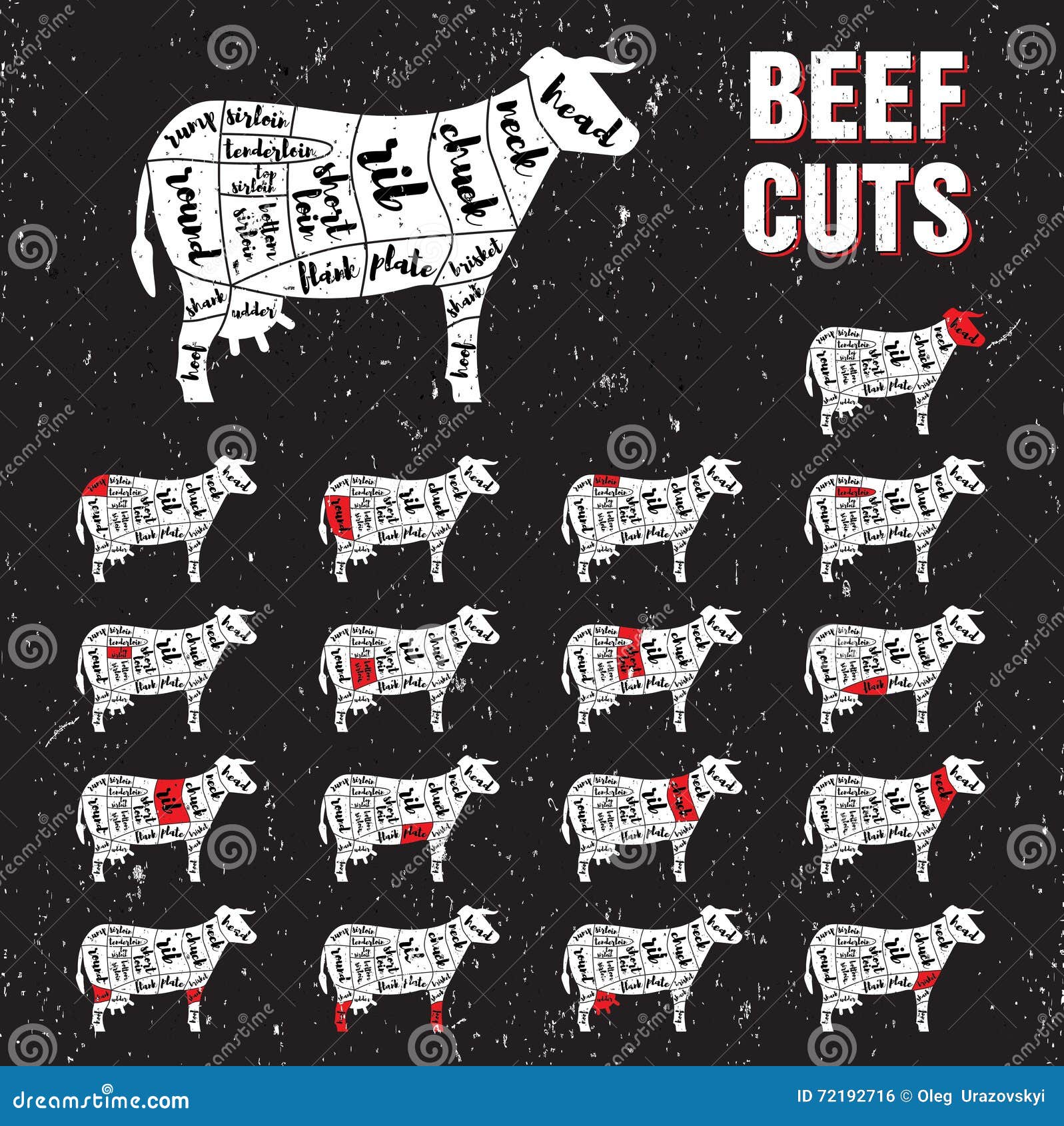 Beef Cuts Vector Template Set Stock Illustration - Illustration of ...