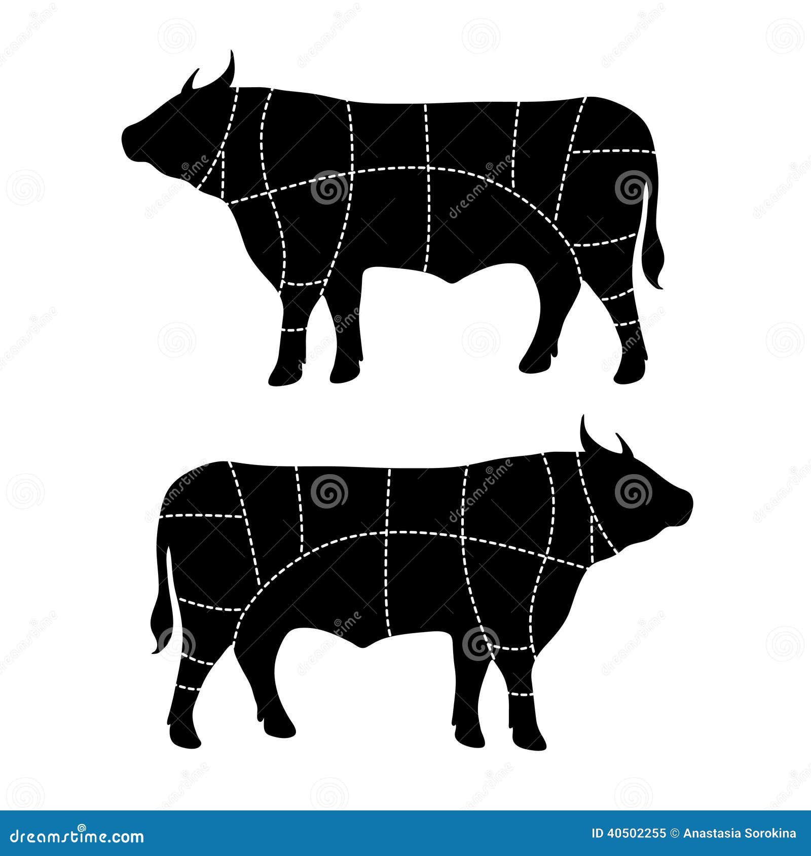 Beef cutting scheme stock vector. Illustration of ribs - 40502255