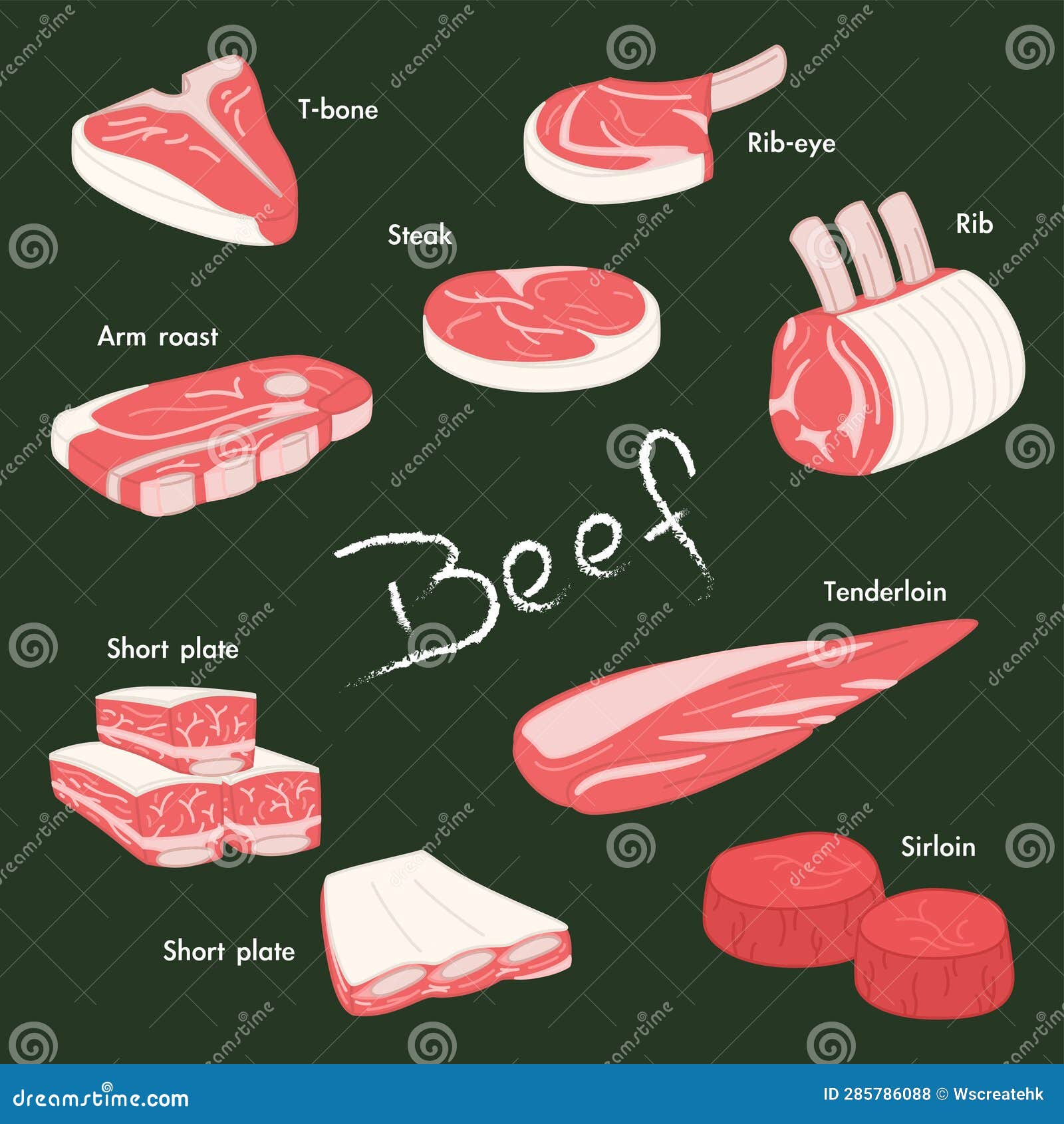 Beef Elements of Different Parts of Cow Illustration Vector Stock ...