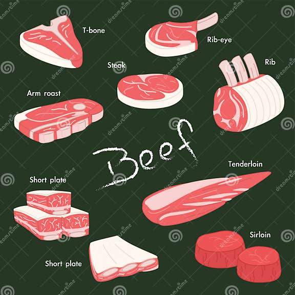 Beef Elements of Different Parts of Cow Illustration Vector Stock ...