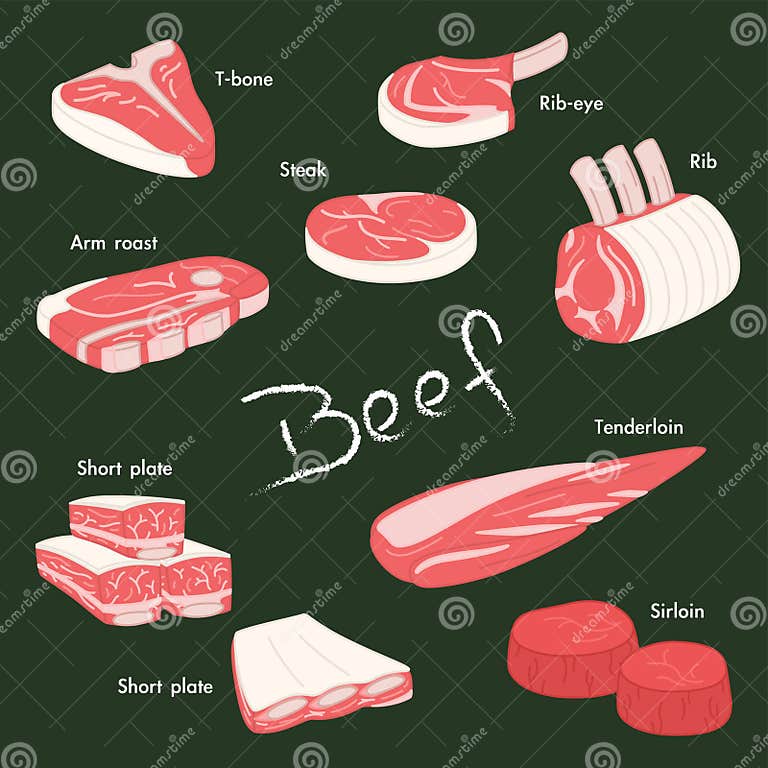 Beef Elements of Different Parts of Cow Illustration Vector Stock ...