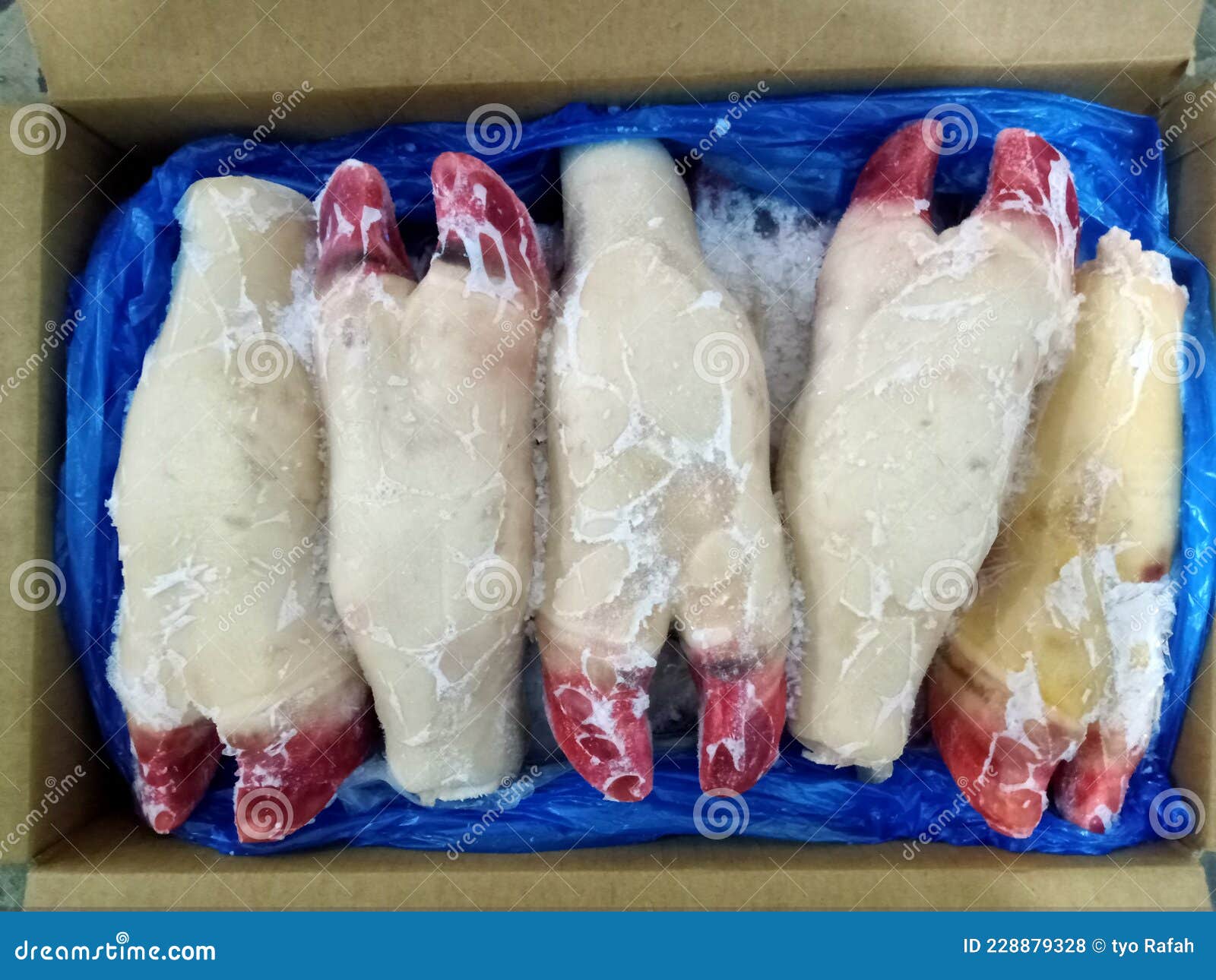 Beef feet cow stock photo. Image of food, feet, soup - 228879328