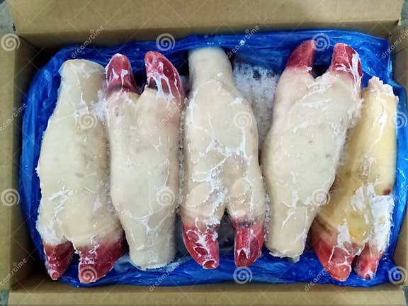 Beef feet cow stock photo. Image of food, feet, soup - 228879328