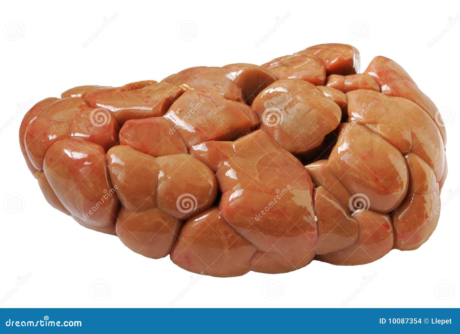 Beef kidney stock photo. Image of kidney, refreshment - 10087354