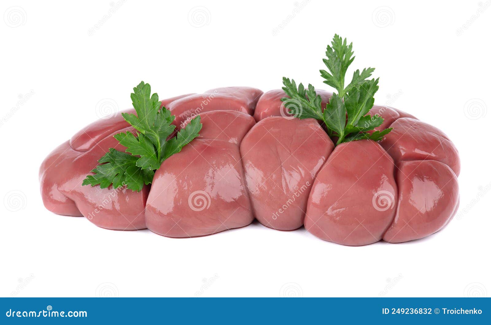 Beef Kidney Isolated on White Background. Closeup. Raw Cow Kidney ...