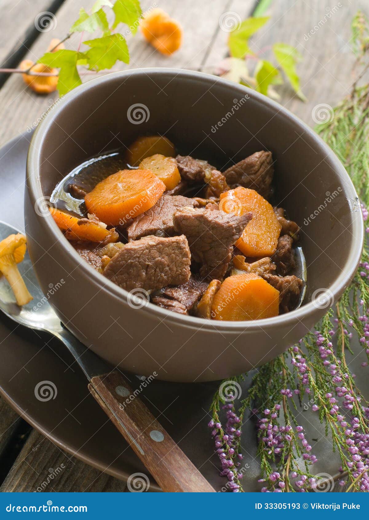 Beef ragout stock image. Image of rustic, orange, stew - 33305193